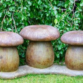 Three Mushroom Bench