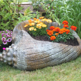 Conch Planter