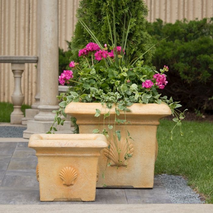 Large Shell Planter