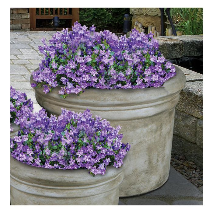 Large Rolled Rim Planter